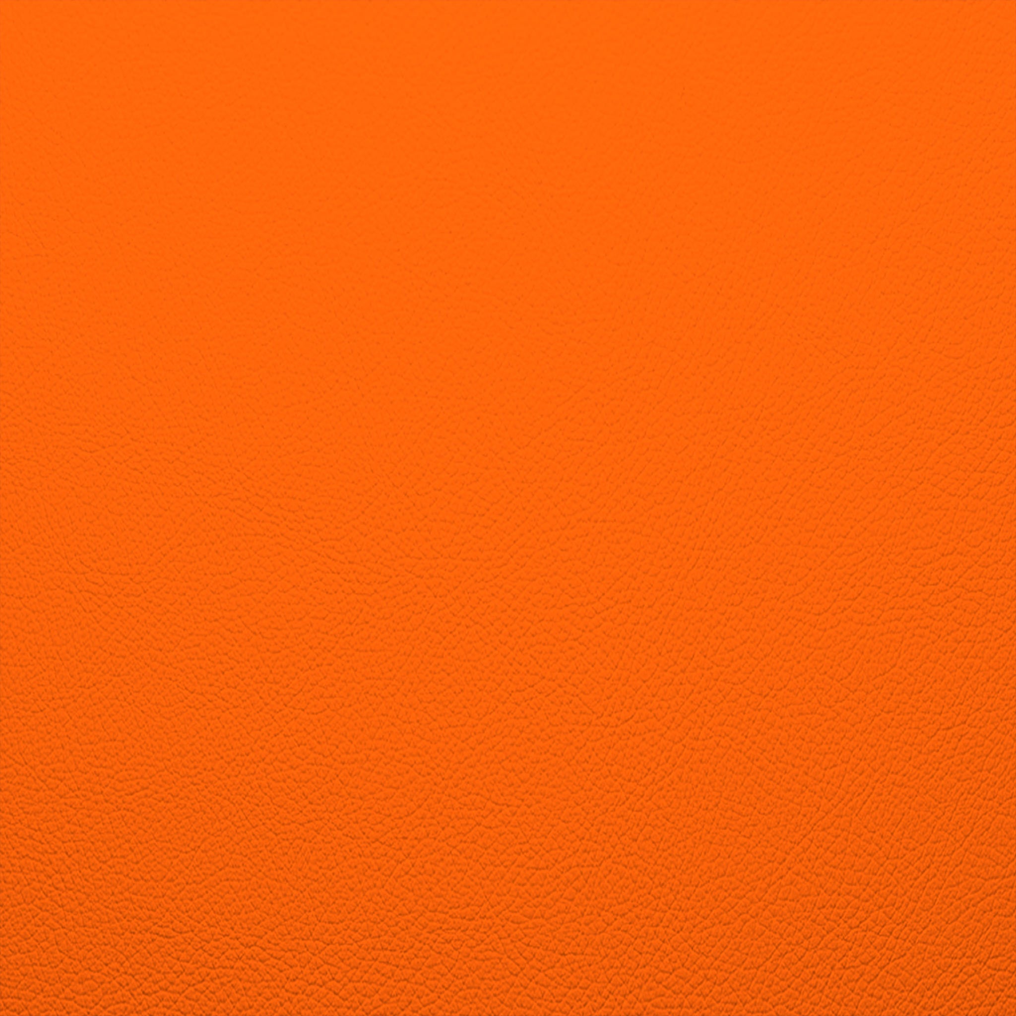 DS-1064/00 – de Sede Switzerland