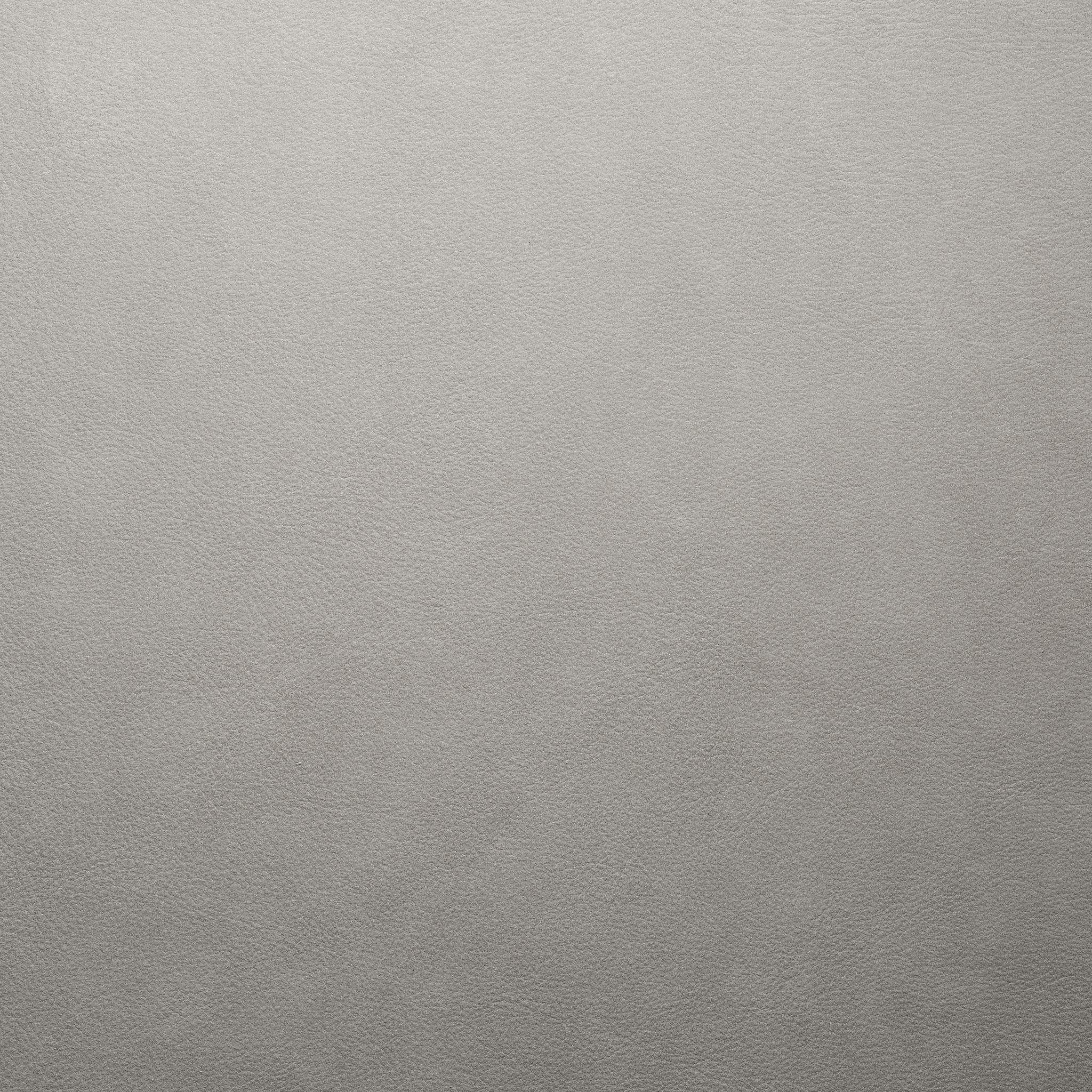 DS-600 Snake – de Sede Switzerland