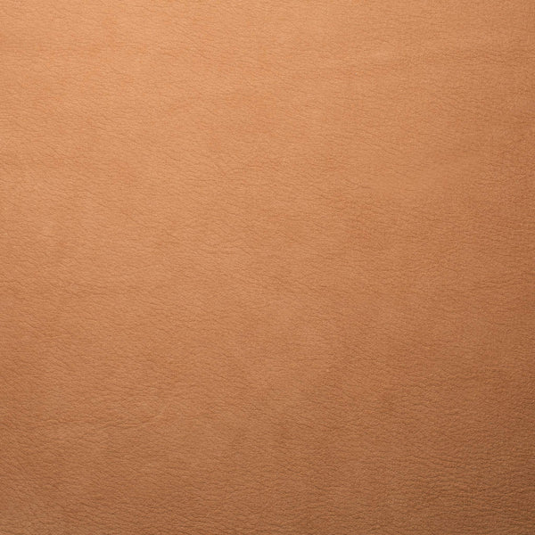 DS-600 Snake – de Sede Switzerland